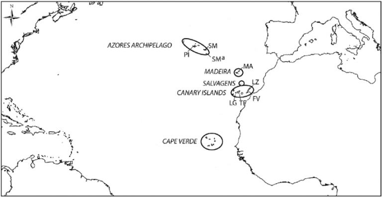 Macaronesia | La guía de Geografía