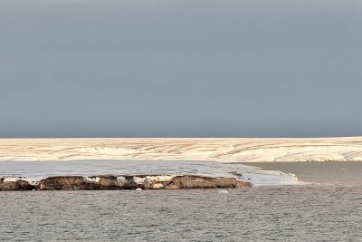 Mar de Laptev | La guía de Geografía