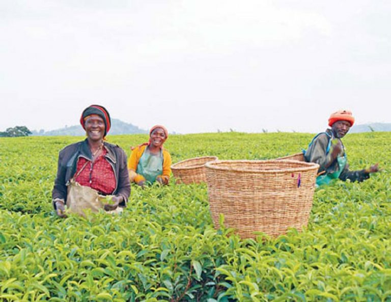 Kenia: población y economía | La guía de Geografía