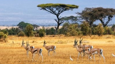 Guinea: geografía física | La guía de Geografía