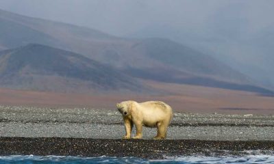Mar de Siberia Oriental | La guía de Geografía
