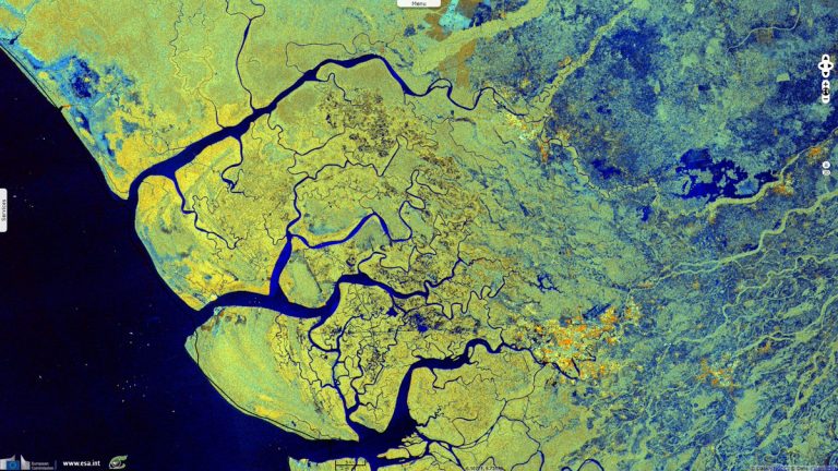 Río Níger | La guía de Geografía