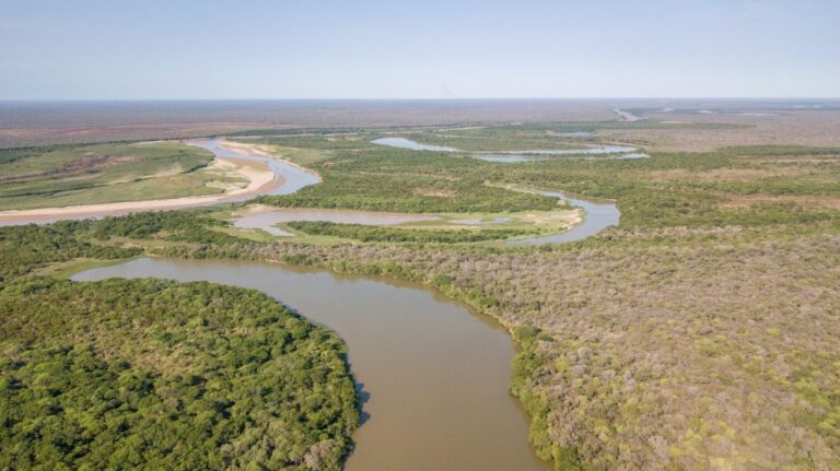 El Gran Chaco | La guía de Geografía