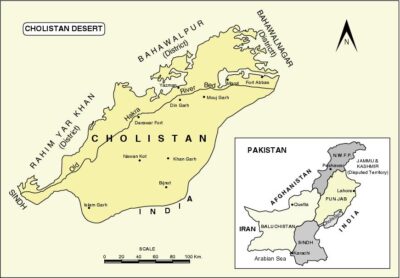 Desierto de Cholistán | La guía de Geografía