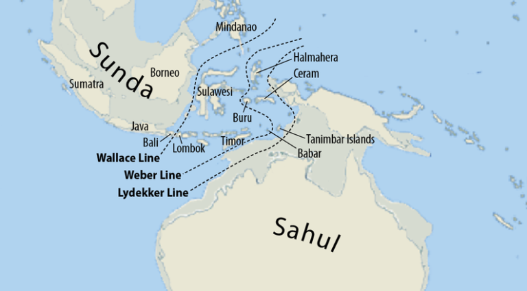 Islas de Wallacea | La guía de Geografía