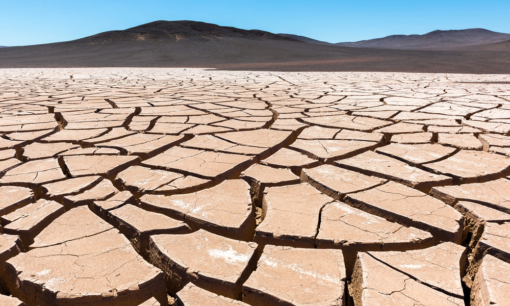 La desertificación | La guía de Geografía