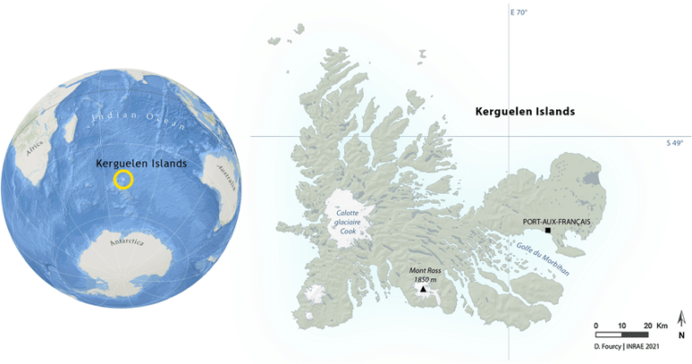 Islas Kerguelen | La guía de Geografía