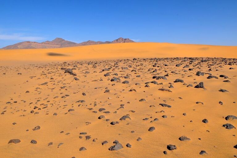 El Gran Erg | La guía de Geografía